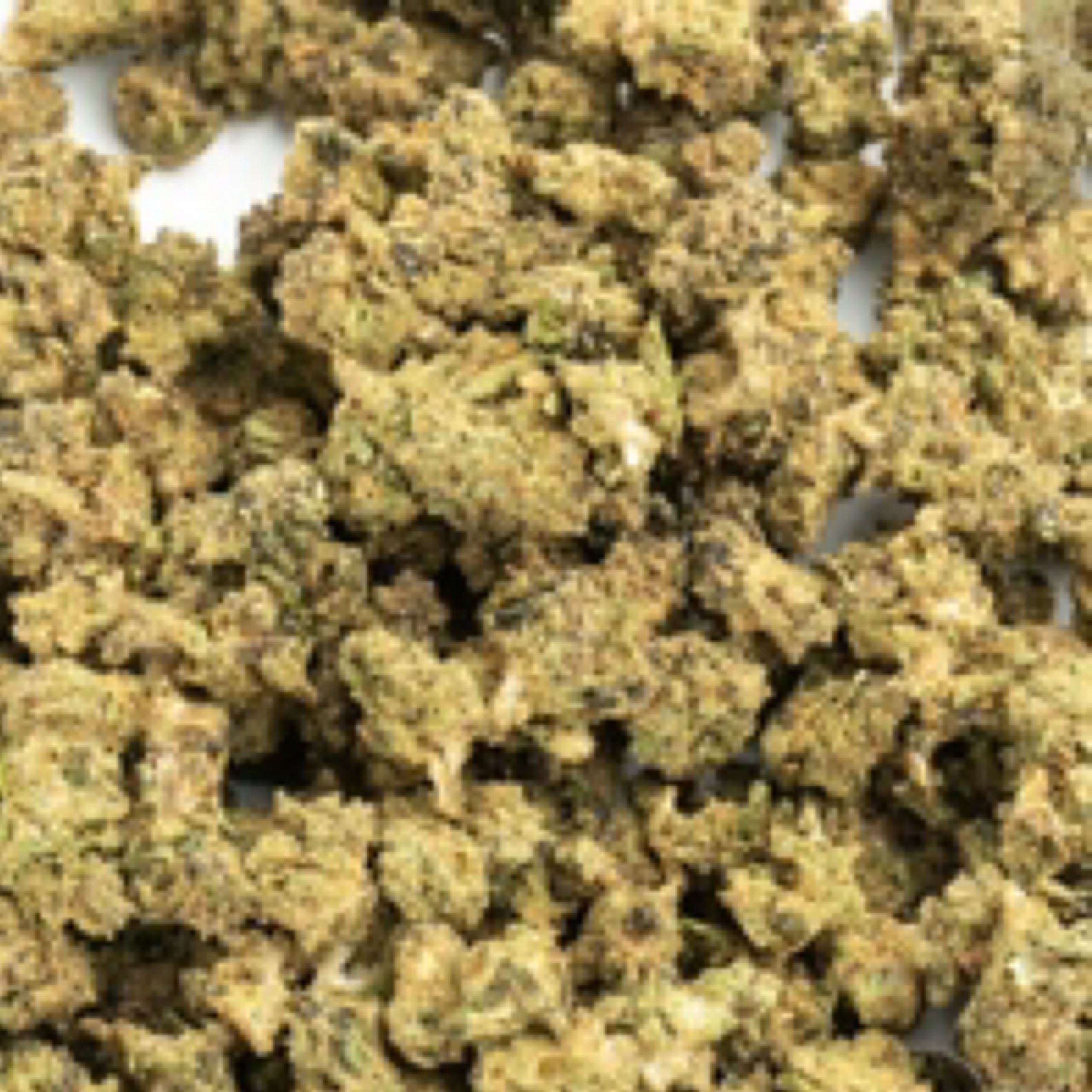 Delta 8 Small Buds | Breckenridge Hemp Company Online Ordering